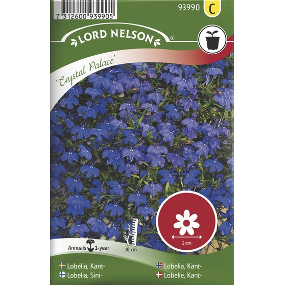 Lobeelia 'Chrystal Palace' | Gardest