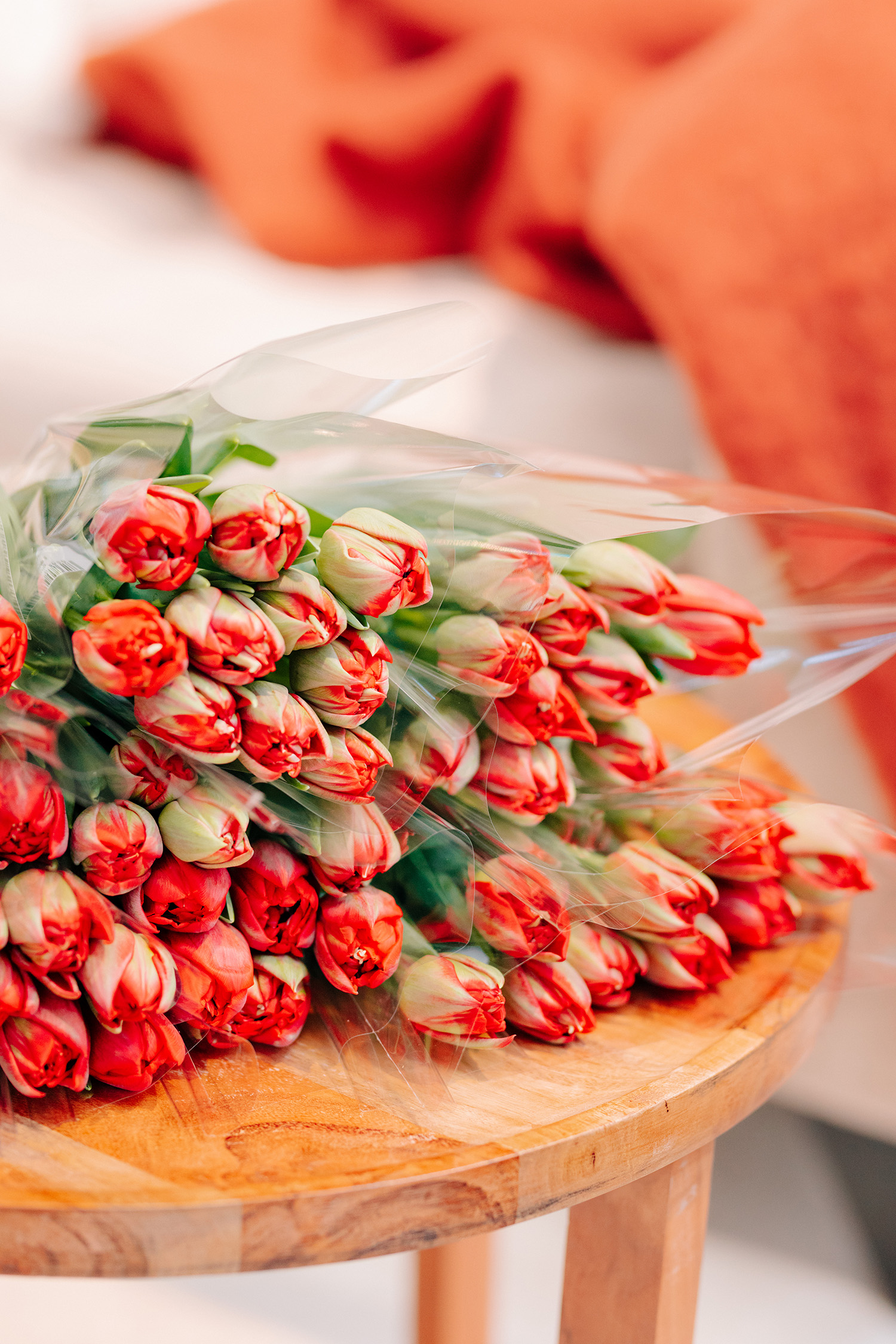 Eesti tulp 10tk kimbus | Gardest