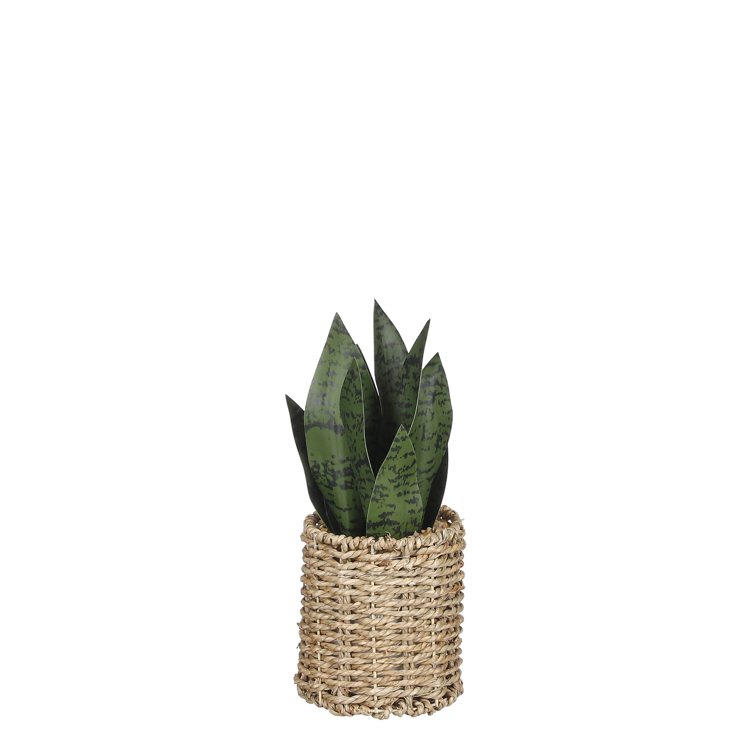 Kunstlill Sanseveria korvis roheline h2 | Gardest