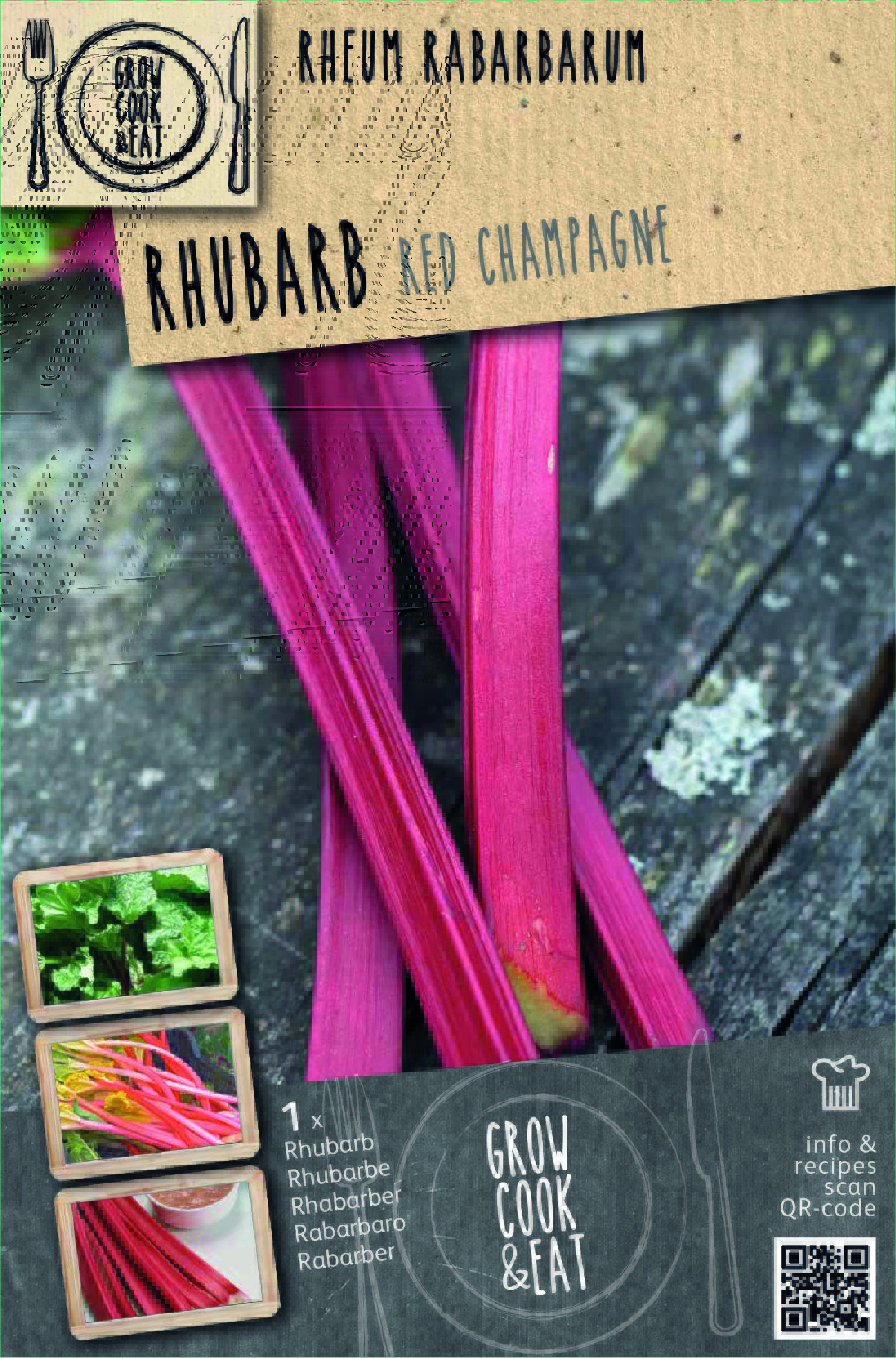 Rabarber 'Champagne' 1tk | Gardest
