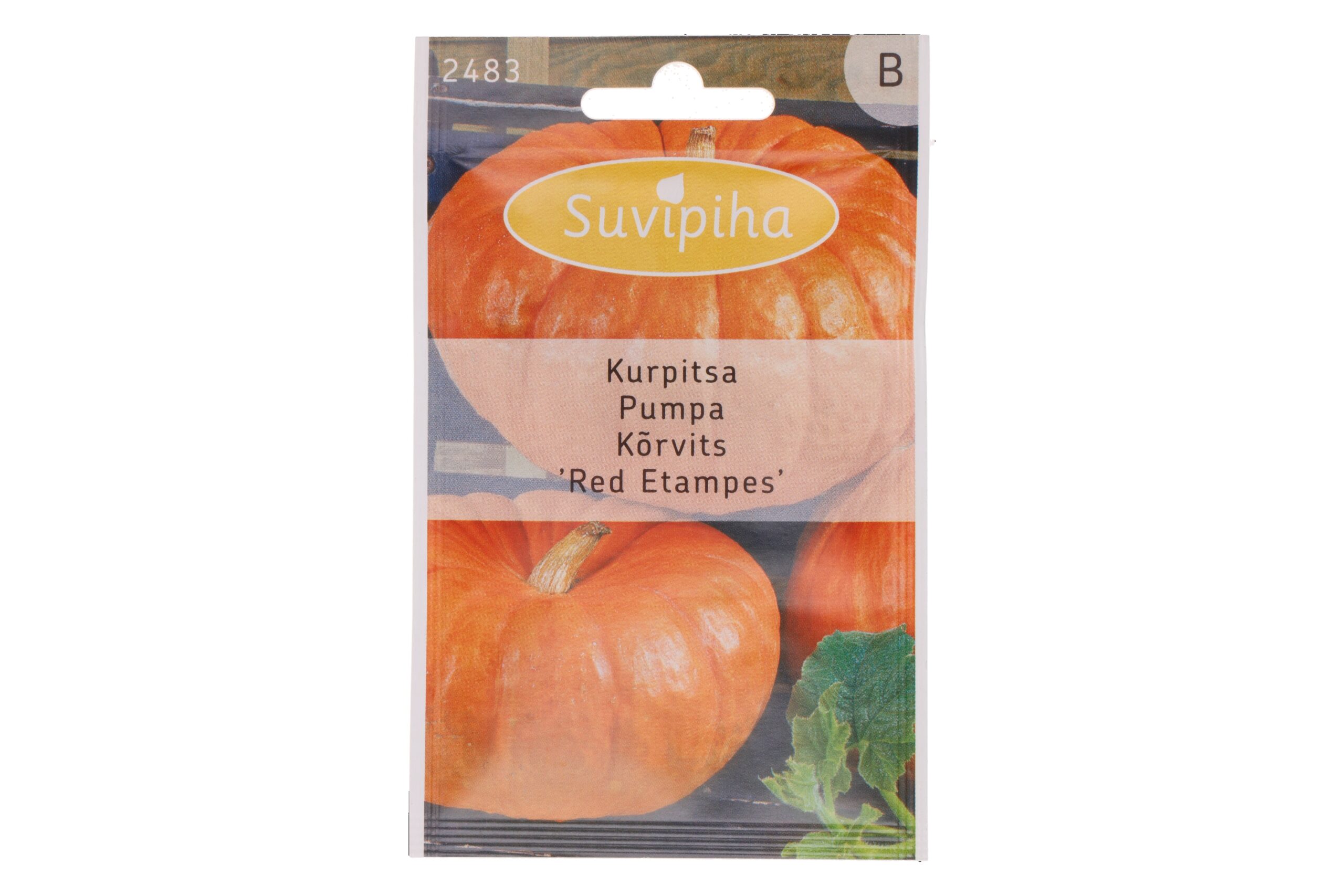 Suureviljaline kõrvits 'Red Etampes' 3g | Gardest