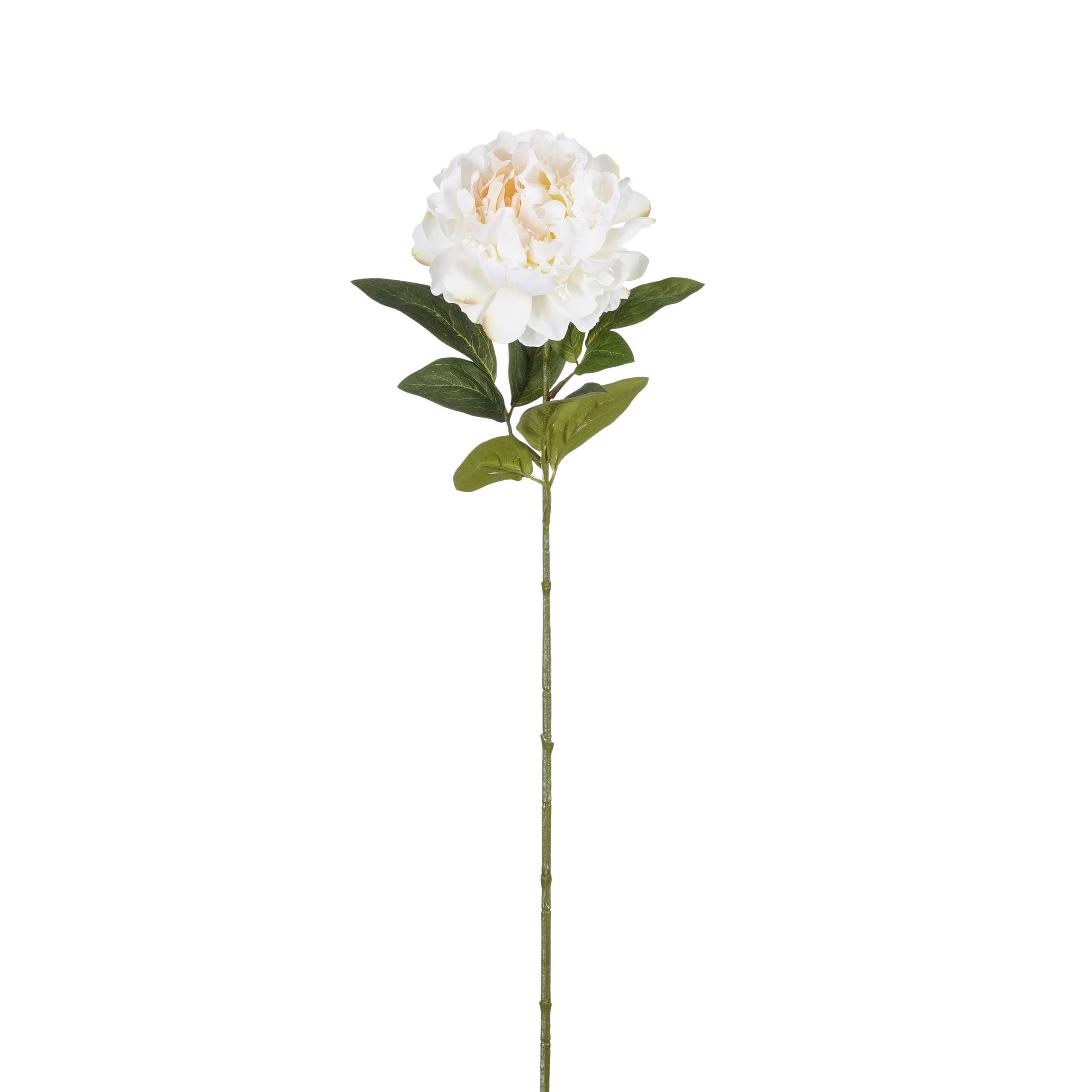 Kunstlill pojeng 70cm valge | Gardest