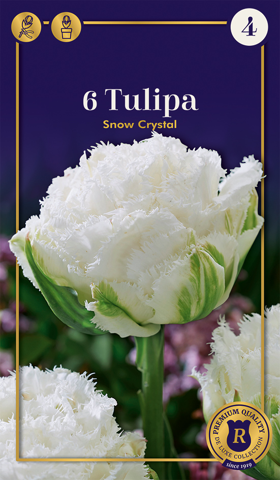 Tulp 'Snow Crystal' 6tk | Gardest