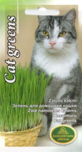 Kassimuru 5g | Gardest